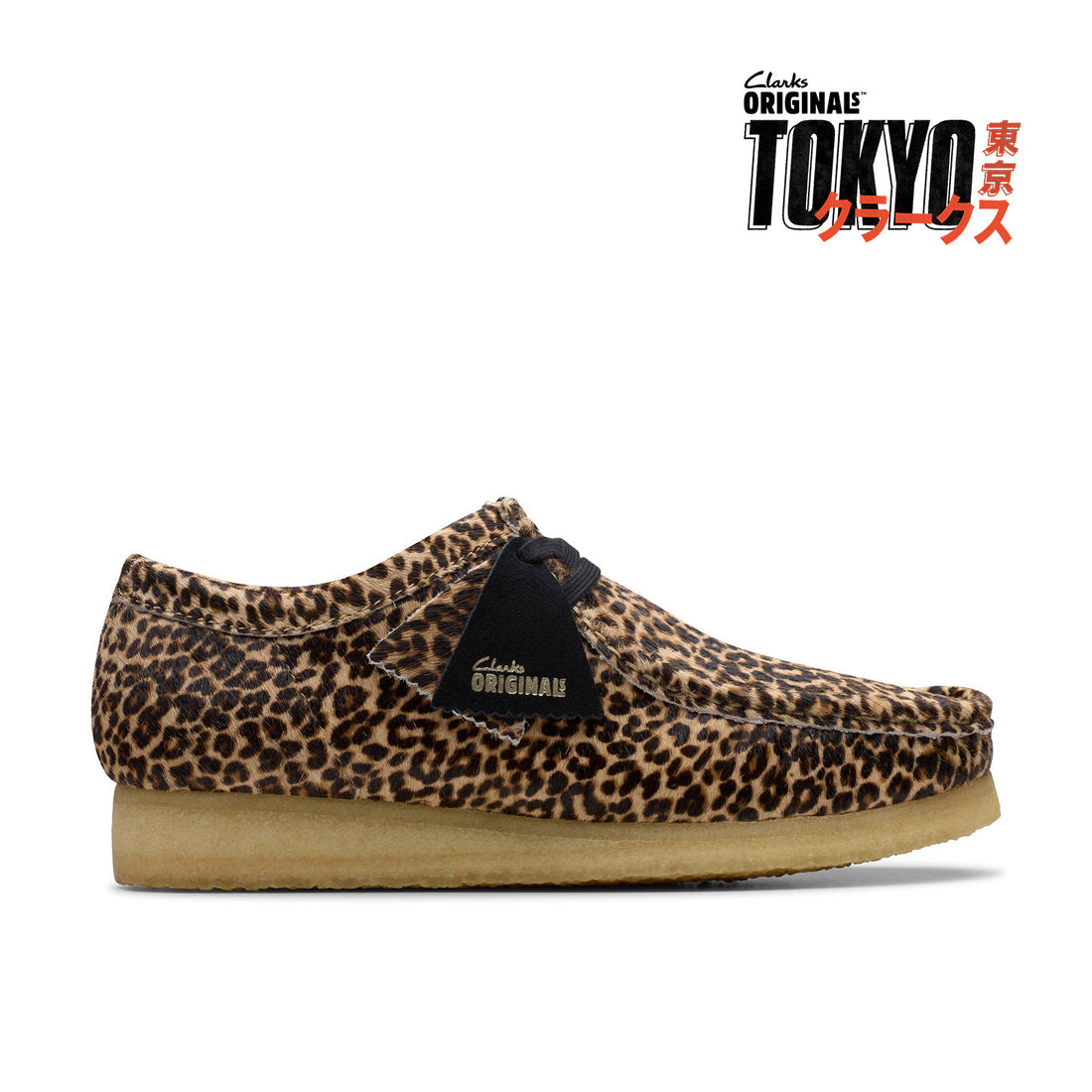 Clarks Shoes for Men